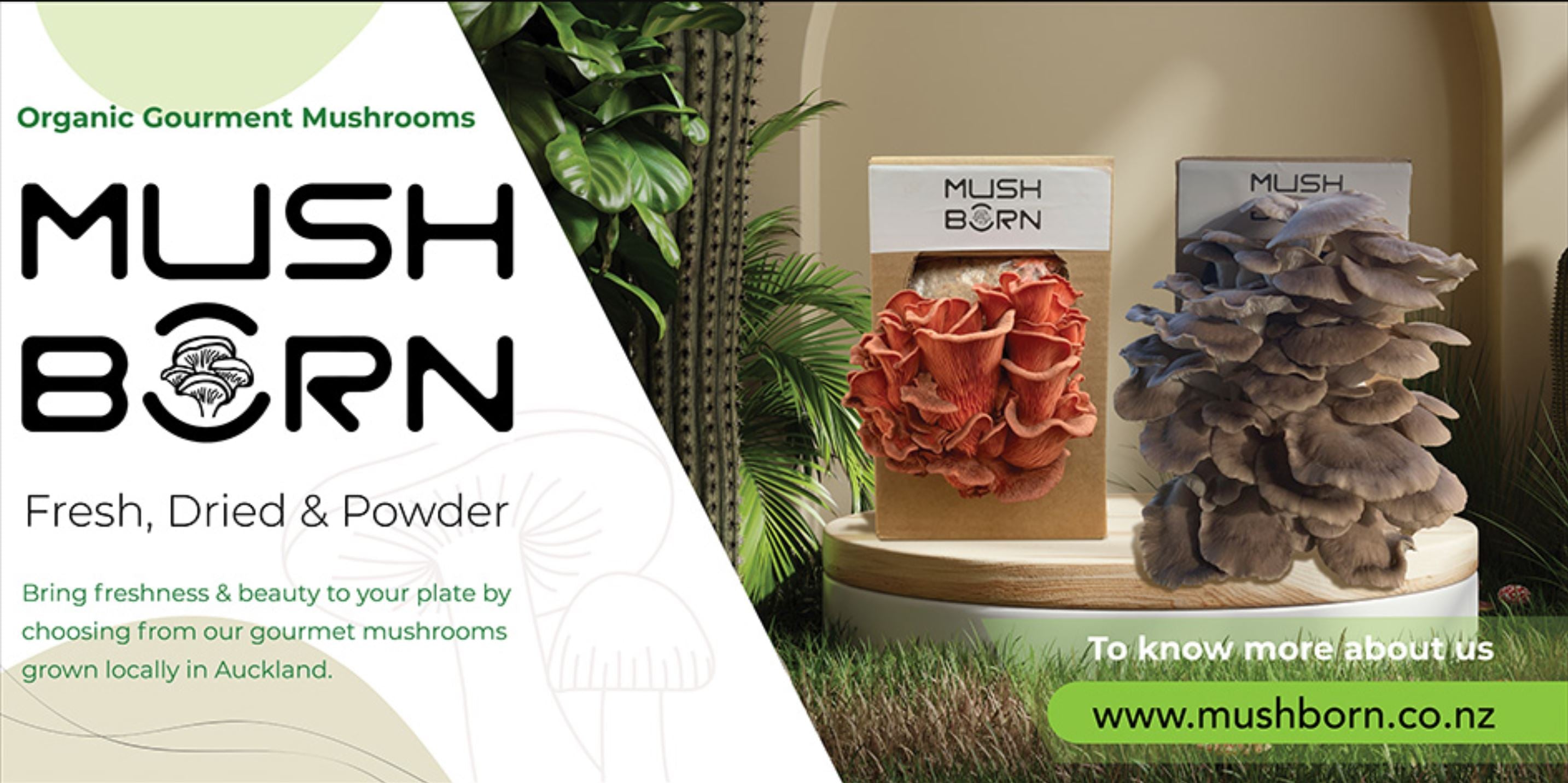 Products – Page 2 – MUSHBORN