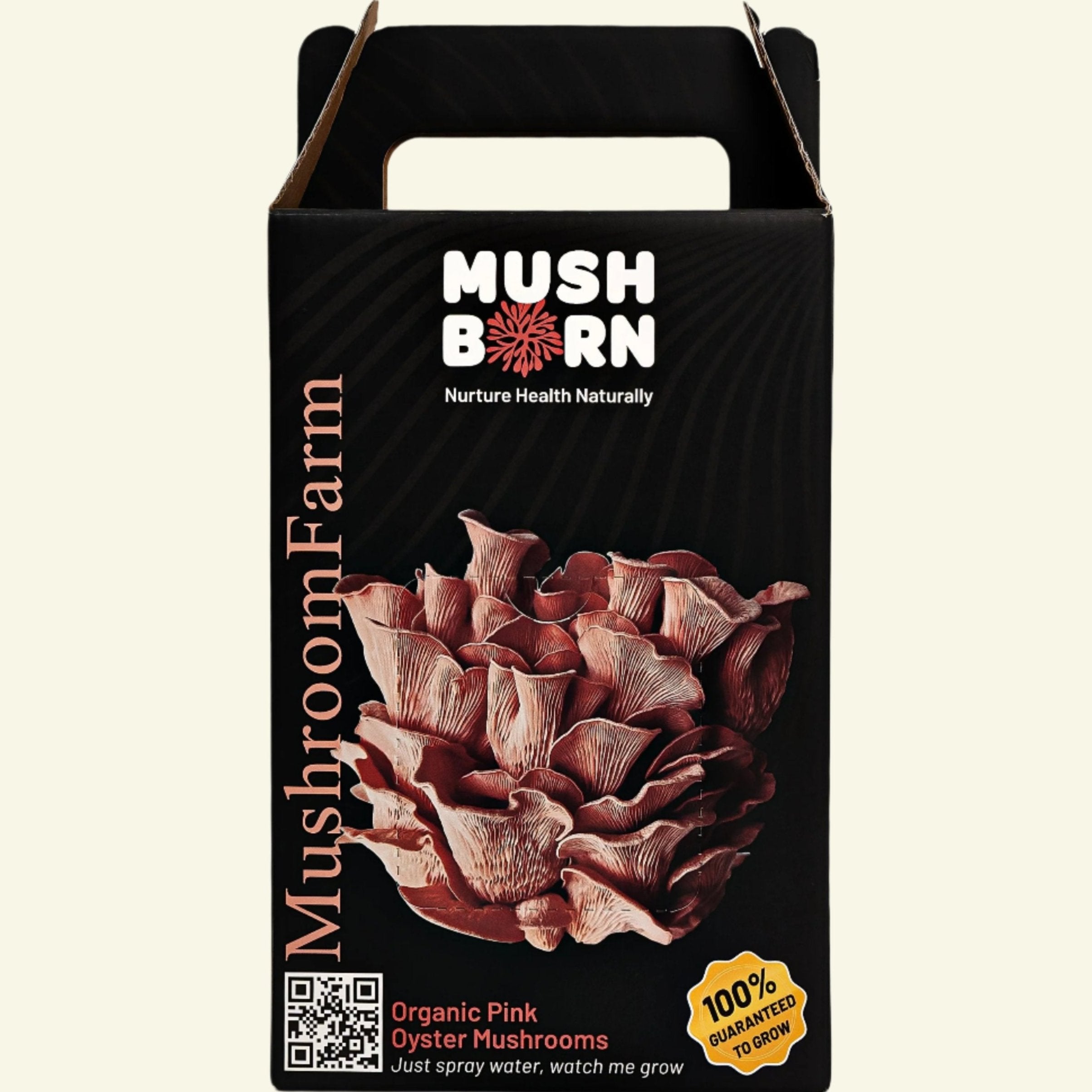 Pink oyster grow kit – MUSHBORN