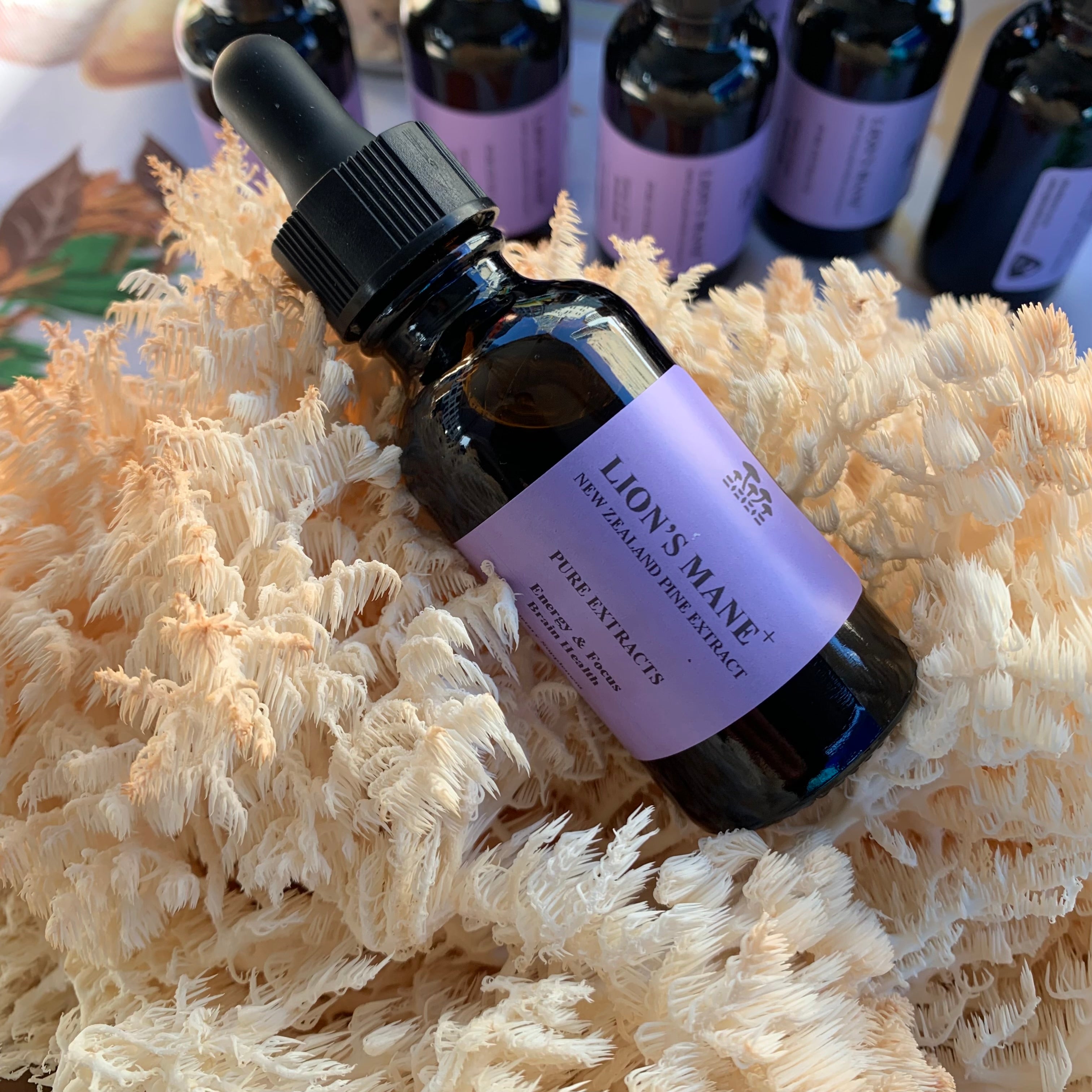 Products – MUSHBORN