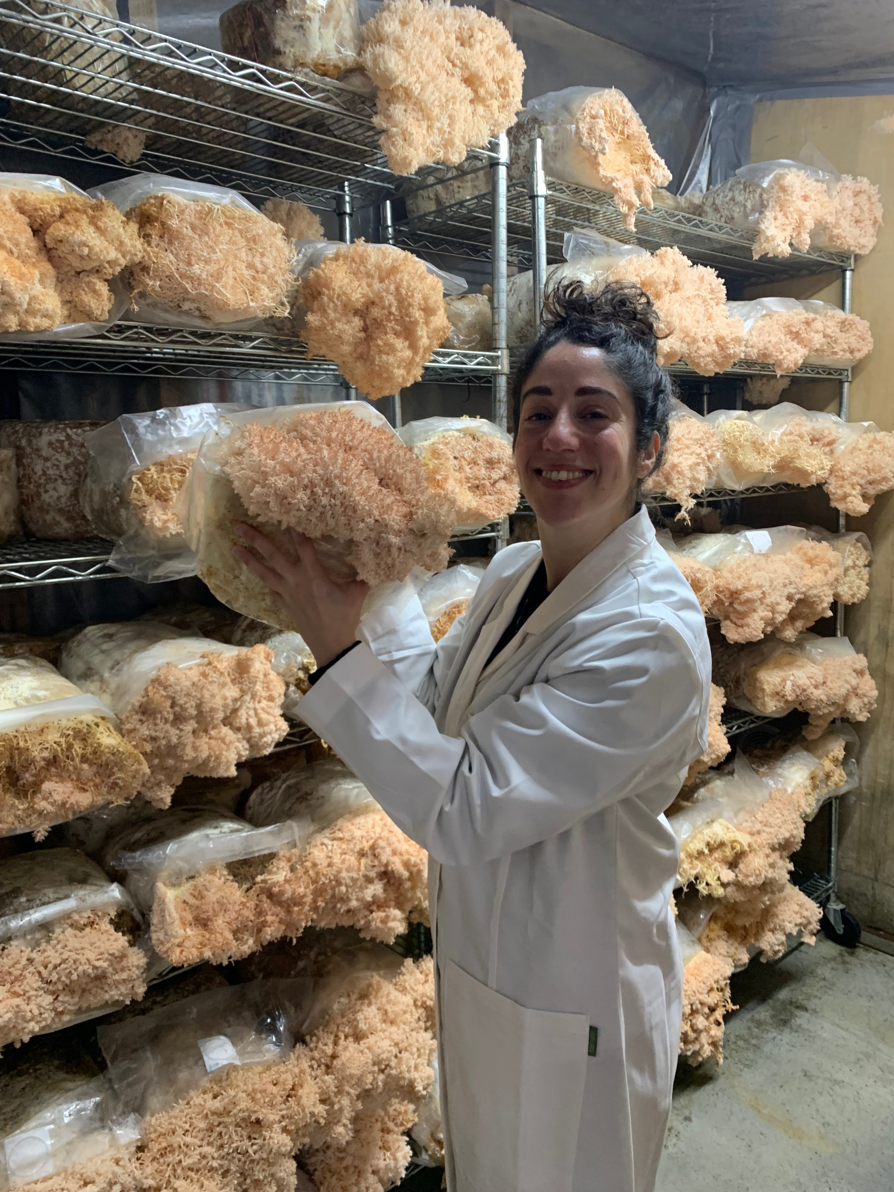 Products – MUSHBORN